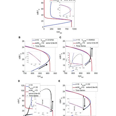 Cell Cycle Model Pseudo Nullclines C 1 In Blue And C 2 In Red For