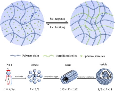 Preparation Of A Salt‐responsive Gemini Viscoelastic Surfactant For Application To Solids‐free