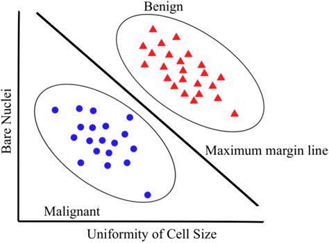An Example Of Svm In Recognized Between Malignant And Benign Cancer Download Scientific Diagram