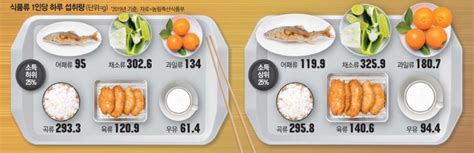 대한민국 곡물 자급률 Oecd 최하위 원인과 타개책은