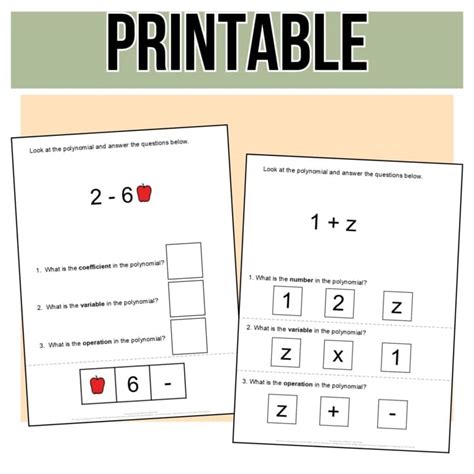 Identifying Terms And Coefficients Polynomials Functional Math Special