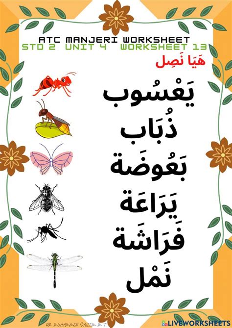 S2 U4 Ws13 Worksheet Live Worksheets