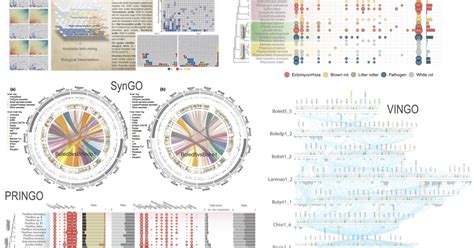 Visual Omics Tools Okinawa Institute Of Science And Technology Oist
