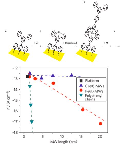 Schematic Representation Of The Synthesis Of The Molecular Wires And