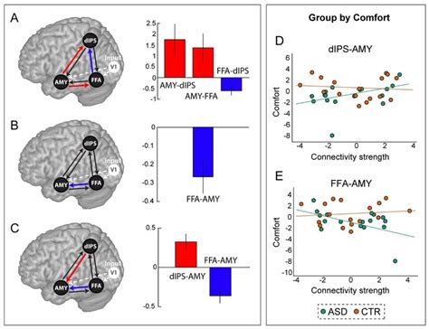 Dynamic Causal Modelling Dcm Posterior Parameter Estimates For The Download Scientific