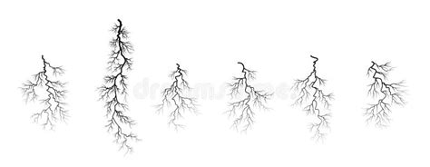 Set Of Different Roots Plant Root System Stock Vector Illustration Of Garden Biology 300556266