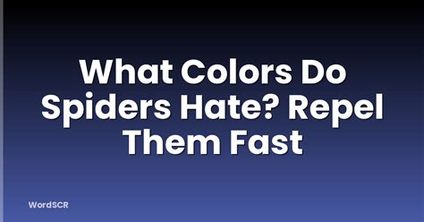 What Colors Do Spiders Hate Repel Them Fast Wordscr