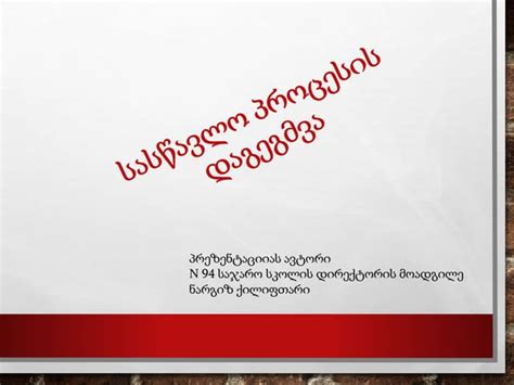 ინდივიდუალური სასწავლო გეგმა Docx