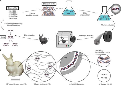 纳米人 Nature Biotechnology：基于dna的新型储存材料