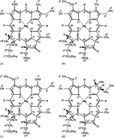 Molecular Structure Of The Chlorin Chlorophylls And Bacteriochlorophyll Download Scientific