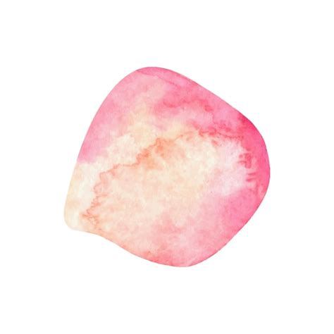 블러쉬 핑크 장미 꽃잎 클립 아트 손으로 그린 수채화 일러스트 프리미엄 벡터