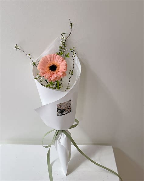 로즈스퀘어 대구트렁크프로포즈 대구호텔프로포즈 대구꽃집 범어동꽃집 만촌역꽃집 서양난 보자기 화분 우아하고 아름다운 호접난 화분 상품입니다 부드럽고 은은한 광택의 고급