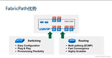 Ccie理论 第二篇 Sdn Fabricpath技术 Csdn博客