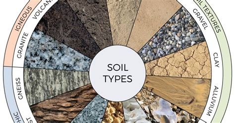 What Is Soil How Many Layers Of Soils Discovery Of Science