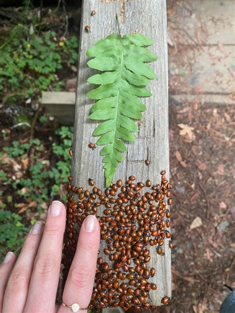 Pin By ꧁madeline꧂ On Notion Headers Header Notions