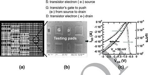 11 A Si Based Cmos Devices On A Commercial Si Wafer B Sem Image Of Download Scientific