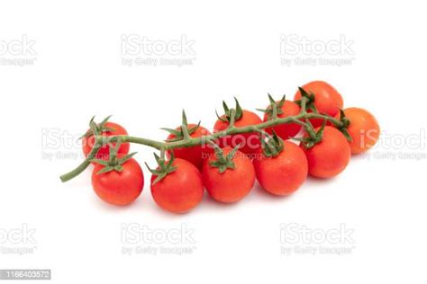 흰색 배경에 붉은 체리 토마토의 가지 작고 육즙이 많은 채소에는 비타민과 미량 원소가 풍부합니다 건강한 음식 신선하고 유기농