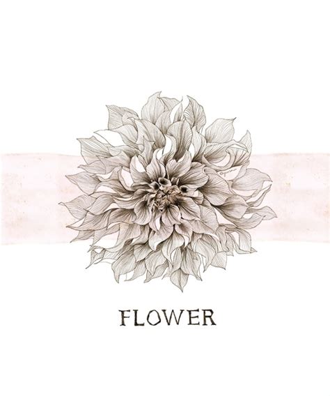 Flower 꽃 빈지티플라워 빈티지꽃플라워 향기 식물 드로잉 일러스트 일러스트레이션 일러스트레이터 그림