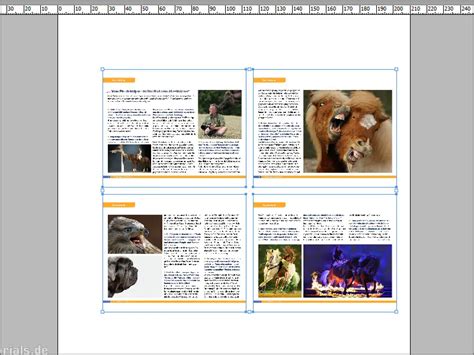 Indesign Mehrere Seiten Einer Pdf Datei Als Kontaktabzug