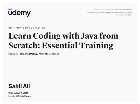 Sahil Ali Software Developer Gold Medalist Ex Geeksforgeeks Sih