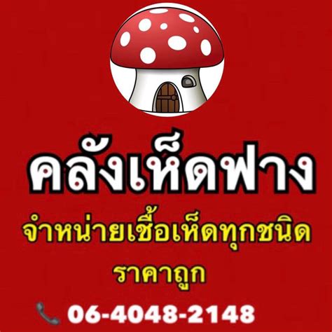 เพาะเห็ดฟางง่ายๆโดยใช้ดินปลูกต้นไม้ งบประหยัด ออกดอกดีมากๆ มือใหม่ทำได้ ชุดทดลองเพาะเห็ดฟาง