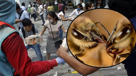 Task Partitioning And Division Of Labour In Swarm Robotics Ppt