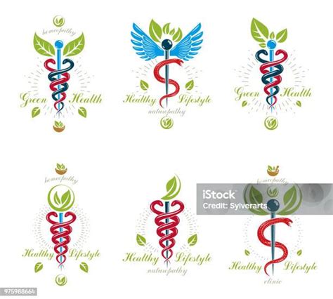 집합 Caduceus 벡터 개념 엠 블 럼 뱀과 녹색 잎으로 만든입니다 웰빙과 조화는 유입니다 대체 의학 개념