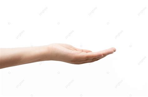 여성 은 손 으로 물건 의 흰 바닥 을 받 쳤 다 여자 손 확대 배경 일러스트 및 사진 무료 다운로드 Pngtree