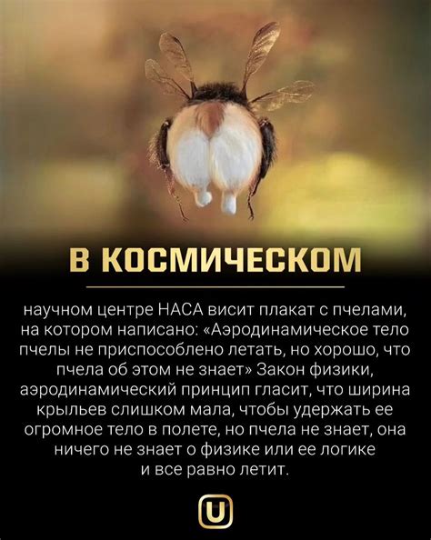 Aidos Tuganbayev Posted On Linkedin