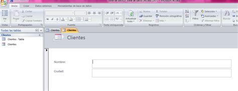 Ayuda En Access Ocultar Datos En Un Formulario