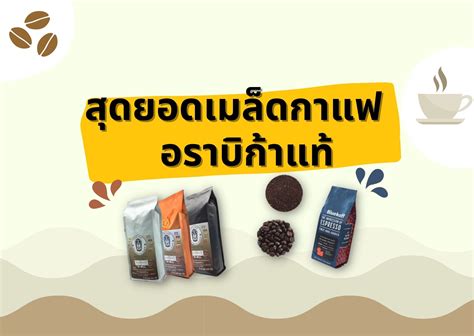 สุดยอด เมล็ดกาแฟ ยี่ห้อไหนดี 5 ยอดดอย รสกลมกล่อม หอมละมุน ปี 2025
