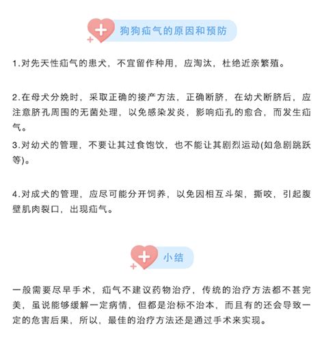 狗咬疝气的知识你知道多少如何预防与治疗 病症 维宠宠物导航网