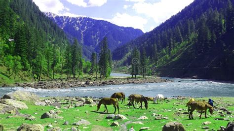 Neelum Valley Kashmir Pakistan Stock Image Image Of Alps Grassland