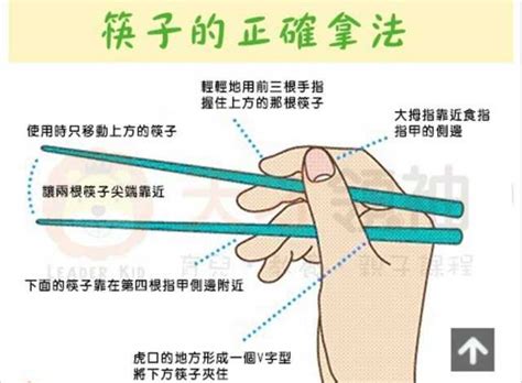 筷子正確握法曝光 網驚錯了一輩子 生活 CTWANT