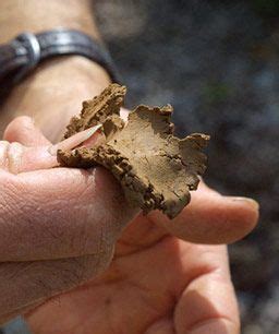 Improving Clay Soils Fine Gardening Fine Gardening Garden Soil Garden Compost