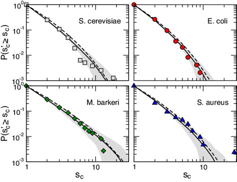 Rigid Cluster Size Distributions In Metabolic Networks The Rigid