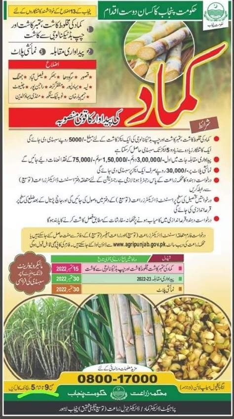 Muhammad Khalid On Linkedin Sugarcane Farmers Sugarcane Development Farmers Support Field…