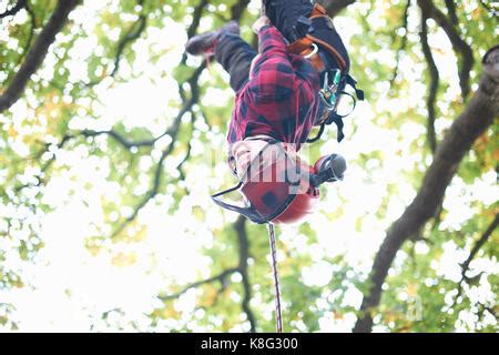 Teenage Babe Climbing A Tree Stock Photo Alamy