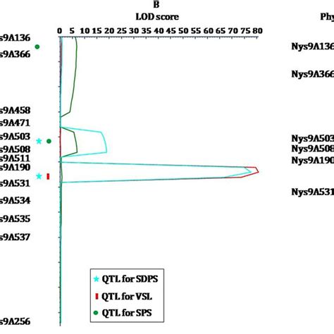 Qtl Fine Mapping Of Sdps And Its Related Traits In F23 Families From Download Scientific