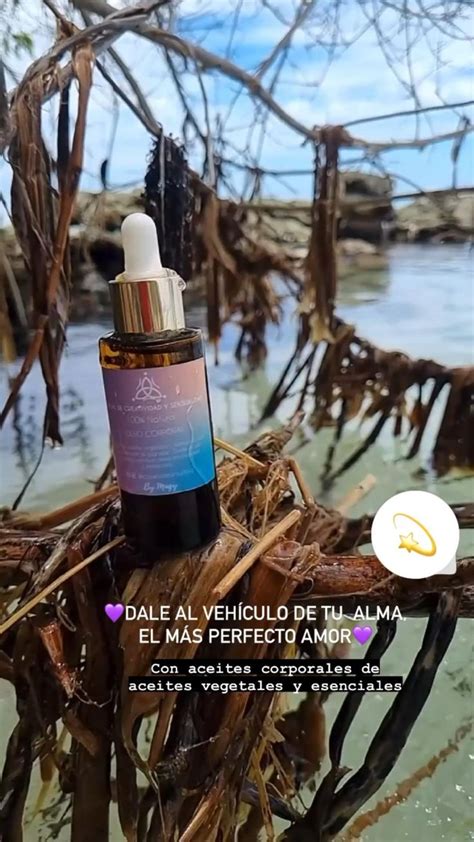 Los Mejores Aceites De Aromaterapia Para Tu Cuerpo Cuidado Natural De La Piel Cuidado De La