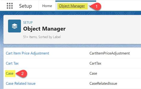 Merge Case Button Not Showing In Salesforce