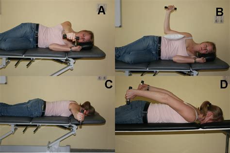 Rehabilitation Of Scapular Muscle Balance Which Exercises To Prescribe At Aurora Mcdonald Blog