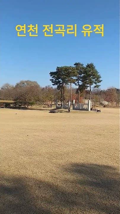 연천전곡리유적 전곡 선사박물관 Youtube