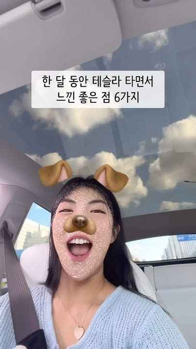 테슬라 운행 한 달차 테린이가 느낀 좋은 점 6가지 테슬라 테슬라모델y Tesla Teslamodely 전기차