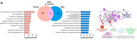 Chip Seq应用领域、研究思路、数据挖掘、下游实验、实验关键 易讲堂 Csdn博客