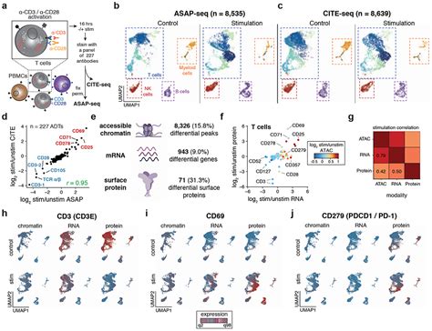Scalable Multimodal Profiling Of Chromatin Accessibility Gene
