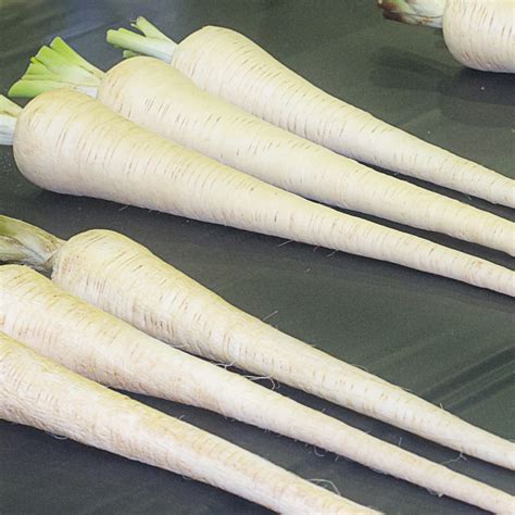 Quality Parsnip Victor F1 Seeds