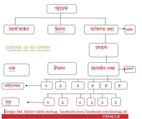 ওরাকল ও ডেভেলপার” ইঞ্জিনিয়ার পর্ব ১ যারা হতে চান তাদের জন্য এই