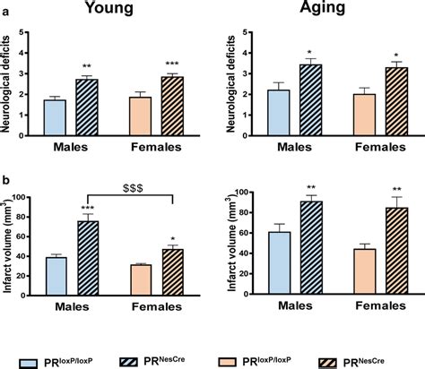 Specific Deletion Of Pr In Neural Cells Leads To Increased Neurological