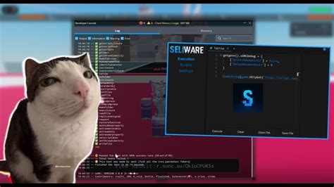 Test Executor Seliware Script Blox Fruits Roblox Web Showcase Youtube